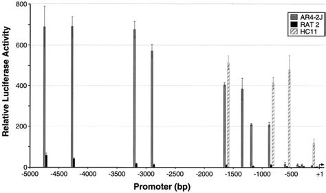 Reporter Gene Analysis Of A 5 Deletion Construct Series Of The Human