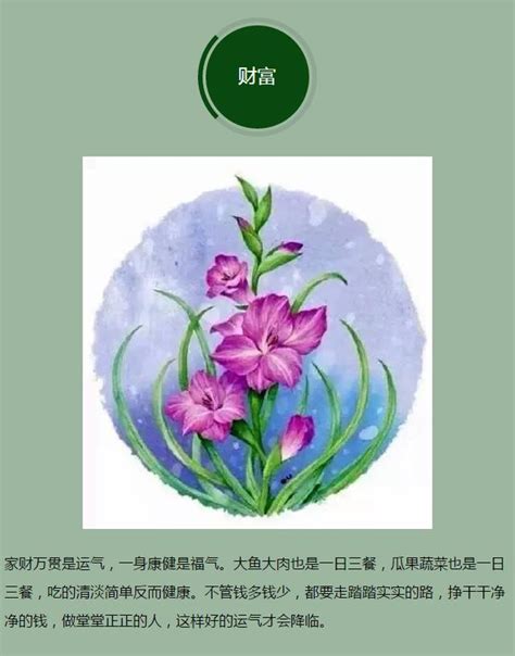 很美的幾個詞送給自己送給關注我的朋友 每日頭條