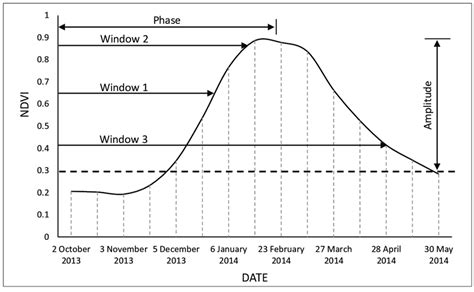 Example Of Windows Selected For Each Classification Model In The Download Scientific Diagram