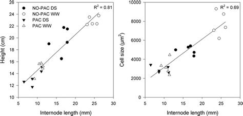 correlations among morphological parameters in tomato stem tissue a
