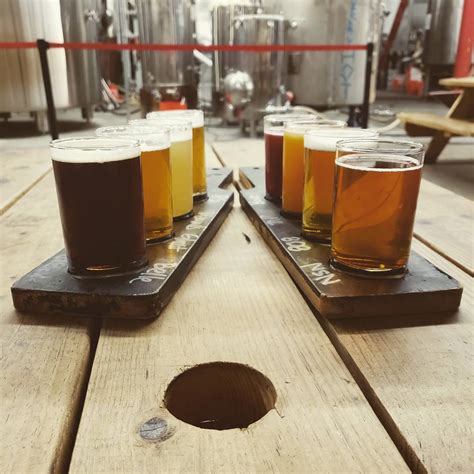 The Aaron Bug Bee Fan Club