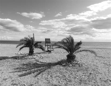 L œuvre Sur la plage abandonnée par l auteur Phil Bottle disponible