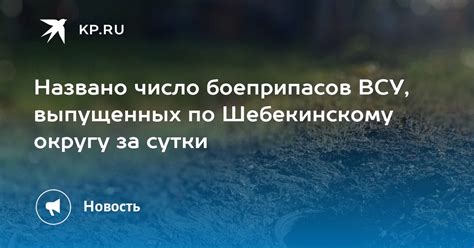 Названо число боеприпасов ВСУ выпущенных по Шебекинскому округу за сутки Kp Ru