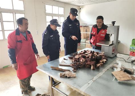严坪保护站联合严坪森林派出所开展“2025清风行动”野生动植物保护专项行动甘肃省小陇山国家级自然保护区