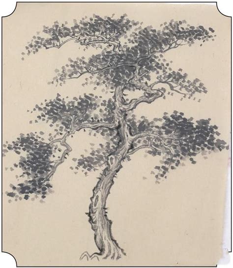 墨树图片 墨水树图片 香树 大山谷图库