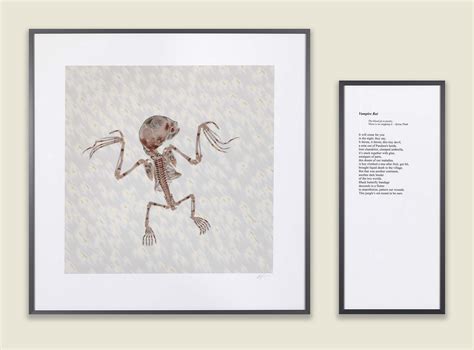 Vampire Bat R Michelson Galleries