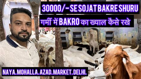 Garmio Me Bakro Ka Khayal Kese Rakhe Sojat Bakre 30000 Se Shuru