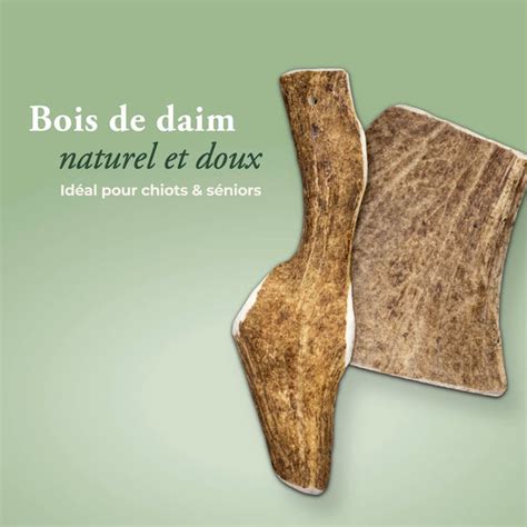 Wolfood Bois De Daim Friandise Naturelle Pour Grands Chiens Nourrir
