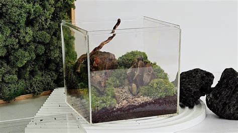 테라리움 만들기 전 이것부터 확인하세요 Youtube