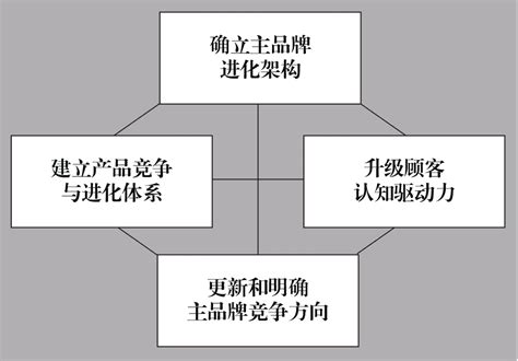 实施主品牌进化战略二更新和明确主品牌竞争方向 哔哩哔哩