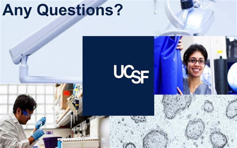 Choosing Research Mentor And Make Good Decision Ppt