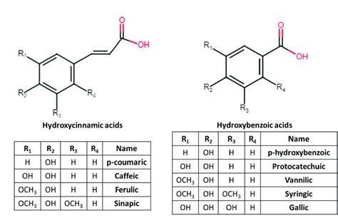 The Major Hydroxycinnamic And Hydroxybenzoic Acids Download