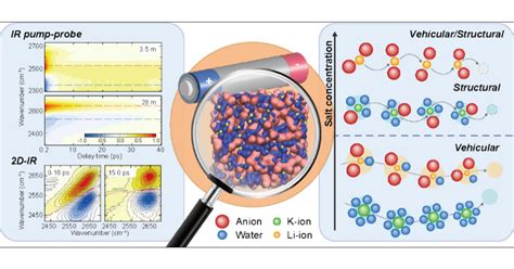 Ion Networks In Water Based Li Ion Battery Electrolytes Accounts Of