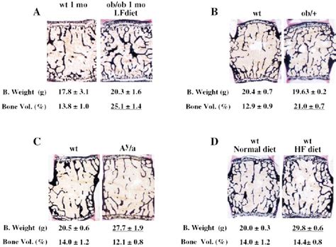 Adrenal Gland Hyperfunction Semantic Scholar