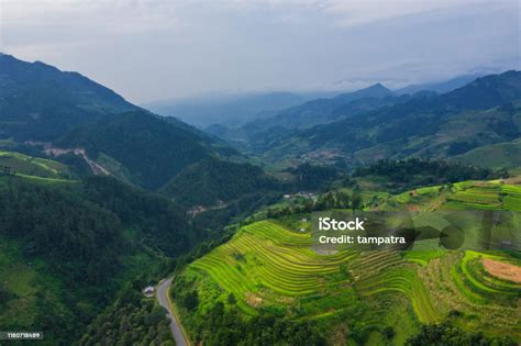 亞洲日落時分亞洲的水稻梯田綠樹園或木倉柴延白山丘山谷等鄉村的鳥瞰圖越南自然景觀背景 照片檔及更多 Mù Cang Chải 照片 Mù
