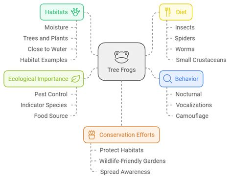 What Do Tree Frogs Love Habitat Food And More