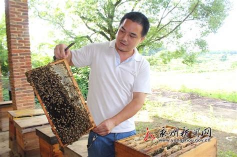 永州一退伍兵堅守深山3年 開創出甜蜜事業 每日頭條
