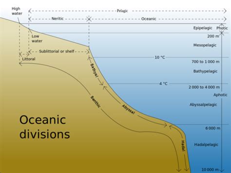 Biology 2 Ecosystems And Biomes Flashcards Quizlet