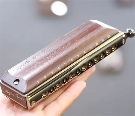 口琴图册360百科