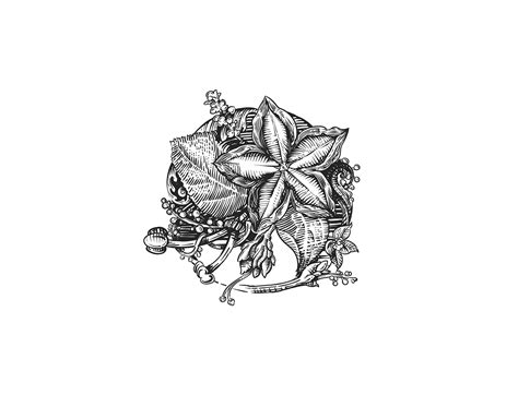 INCA INCHI on Behance