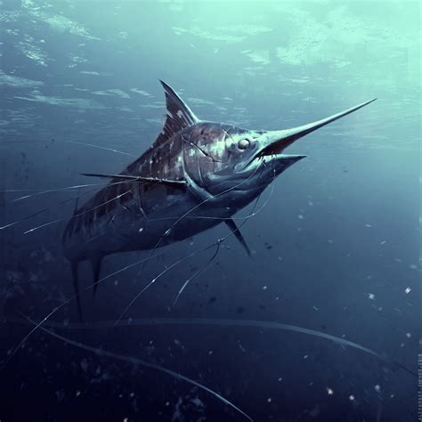 Marlin Behance