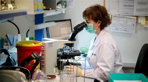 Rapid Corona Testing To Undergo Final Validation Vfi News Rapid Corona Testing To Undergo Final Validation Vfi News
