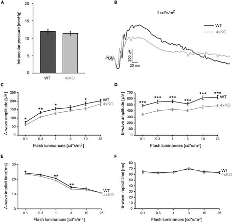 Neural Extracellular Matrix Regulates Visual Sensory Motor Integration IScience