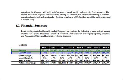 FREE 13 Financial Plan Samples In PDF MS Word Excel Google Docs