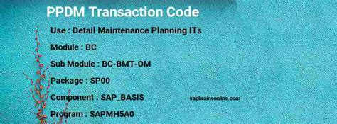 Ppdm Sap Tcode For Detail Maintenance Planning Its