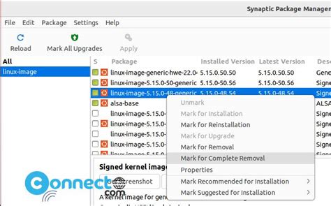 How To Remove Old Linux Kernels In Ubuntu Via Synaptic Package Manager CONNECTwww