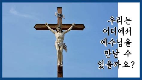 오늘의 묵상 2022 12 14 수 매일미사 12월 정진만 안젤로 신부 성가 95 별들을 지어내신 주