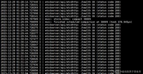 kubernetes管理：陈述式、声明式与kubectl命令详解 csdn博客