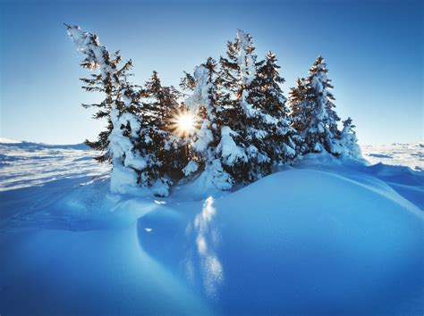 Canon Представяме ти и кадъра който ще краси профила ни следващите няколко месеца Името му е