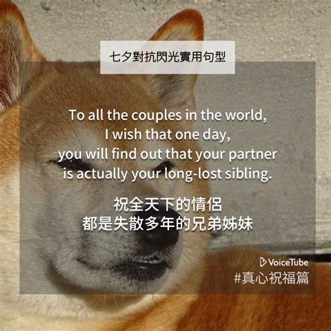 【😎 Voicetube 七夕對抗閃光實用句型😎】 Voicetube 看影片學英語