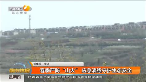 都市快报 2023 03 30 陕西网络广播电视台