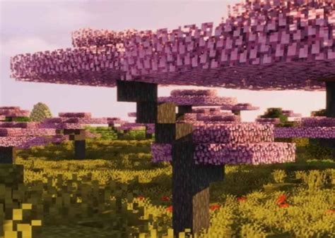 How To Get Cherry Trees In Minecraft