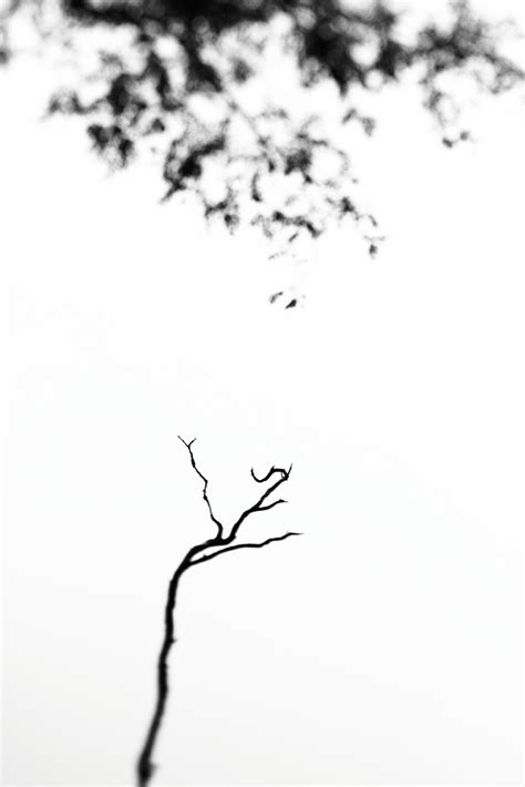 Learnings From The Field Saurabh Desai Nature Infocus