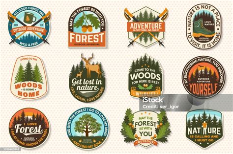 로고 세트 영감을 주는 모험 인용문이 있는 배지 디자인 셔츠 또는 로고 프린트 참나무 잎과 도토리가 있는 스탬프 또는 티셔츠 핀 포레스트 커피 또는 차 머그잔 하이킹 폴