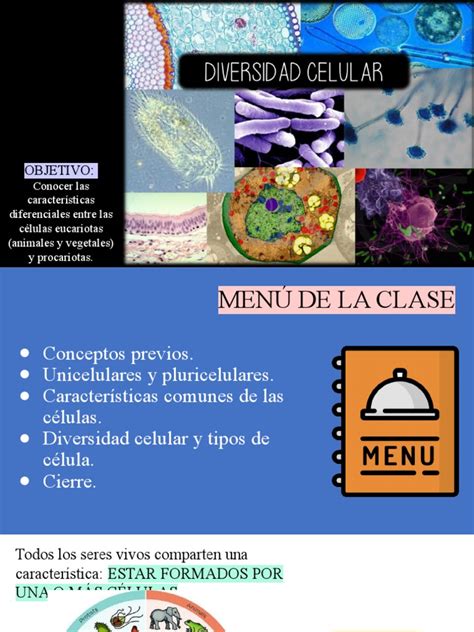 Diversidad Celular 8° Pdf Biología Celular Organismos