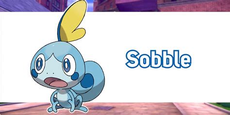 Pokemon Sword And Shield Memes Have Fans Pick Sides