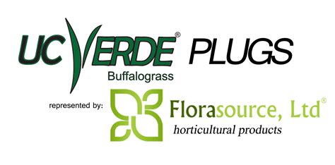 Uc Verde Buffalo Grass Buffalo Grass Plugs Grass