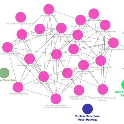 A Reactome Pathway Enrichment Analysis Of 56 Overlapped Genes B Download Scientific