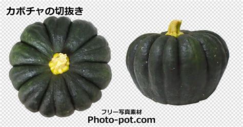 カボチャの切抜き フリー写真素材 Photo pot