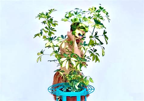 Bio Connectivity Xviii Honevo