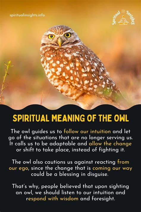 The Spiritual Meaning Of Mongolian Birthmark Spot Artofit