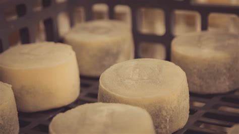 Circuito Productivo Del Queso Tipos Etapas Y Proceso 2025