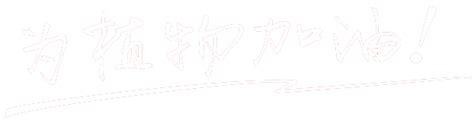 正能量农业发展股份有限公司 通用花卉肥料代工 山东复合微生物菌剂厂家 山东农用肥料代工企业