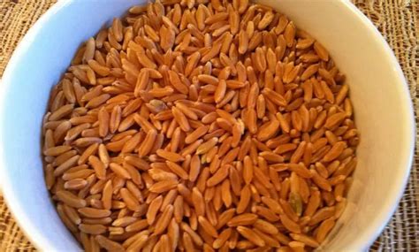 Grano Kamut Un Cereale Con Una Storia Ricca Di Vitamine E Minerali Il Giardino Commestible