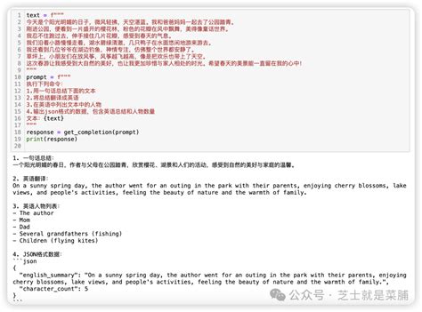 Python实战：不会写提示词，别怪ai答非所问！提示词prompt最强指南来了！纯干货分享！写prompt Csdn博客