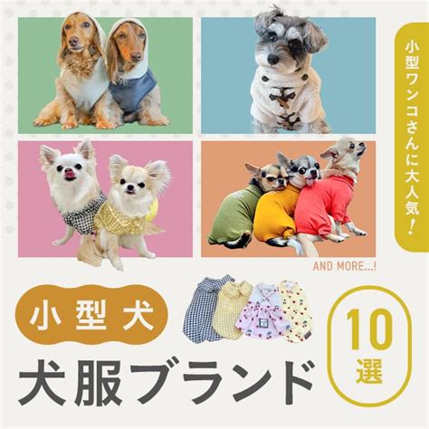 【犬の寒さ対策】おすすめ防寒グッズや寒さに弱い犬種｜ワンコnowa